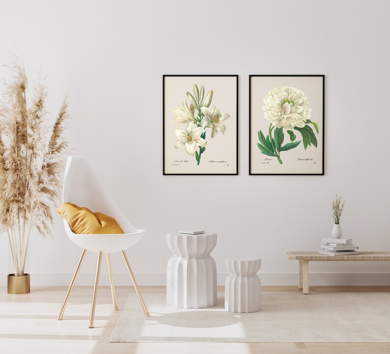 Museum Quality Art Prints Set of Two White Botanical Prints - Etsy