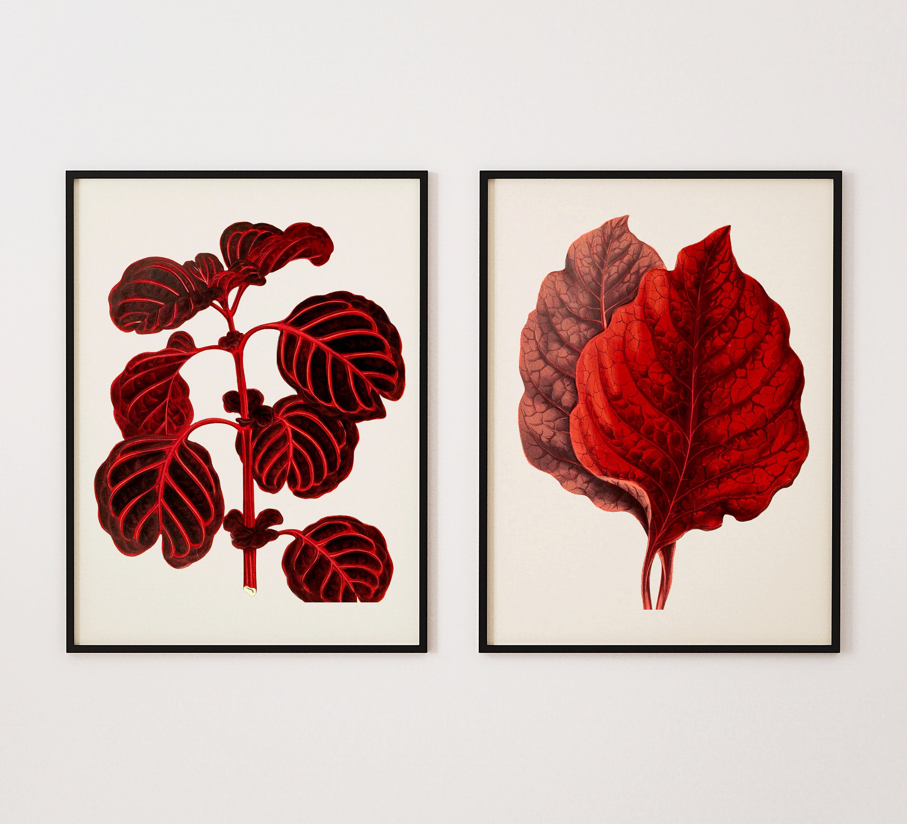 Vintage Ruby Red Wall Art Set of Two Giclee Prints Bright | Etsy