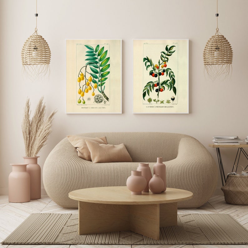 Vintage French Wall Art Fruits and Veggies Jean-théodore - Etsy