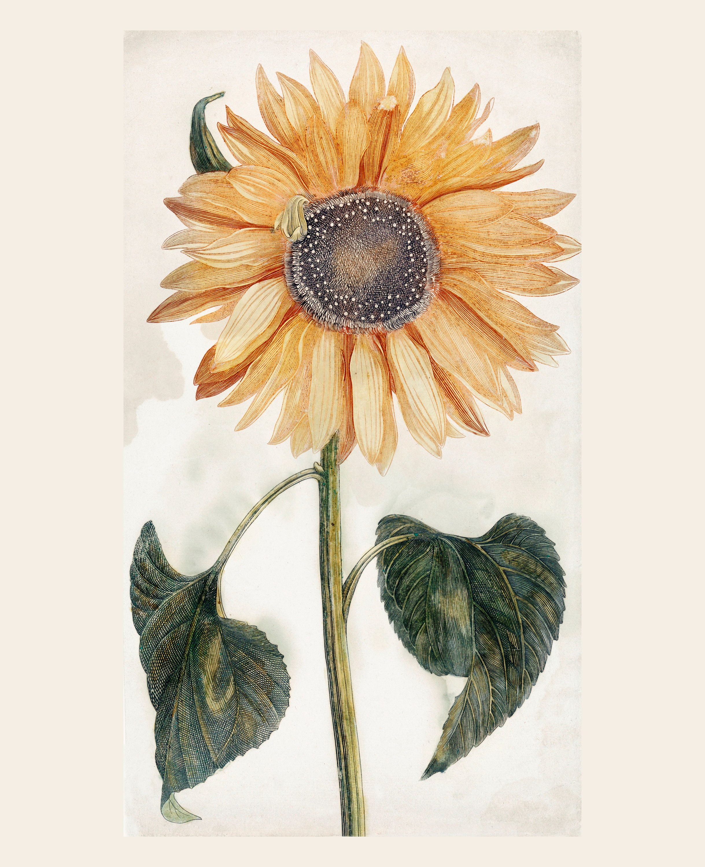 Cottage Core Gallery Wall, French Impressionism, Paul Cézanne, Jan Toorop, Johan Teyler, Claude ...