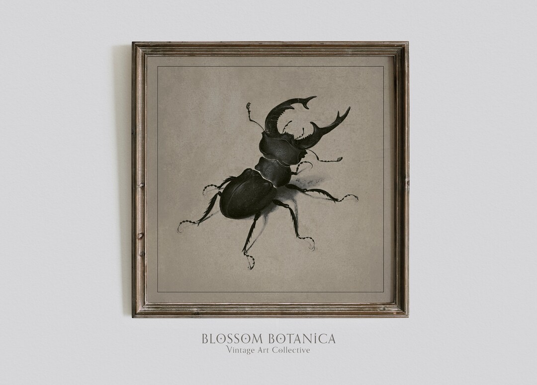 Antique Beetle Print, Stag Beetle, Insect Print, Vintage Art Print ...