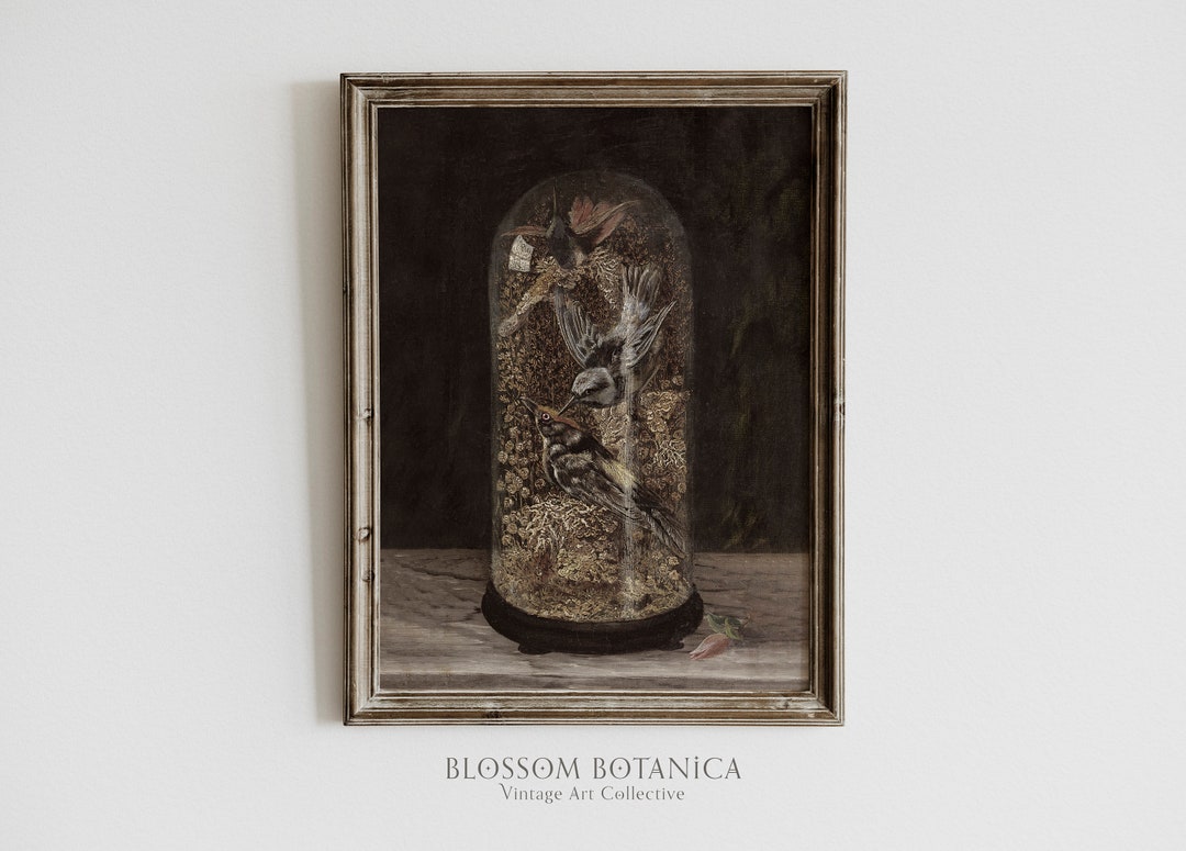 Victorian Cloche, Bell Jar With Birds, Stuffed Birds in A Dome, Arthur ...