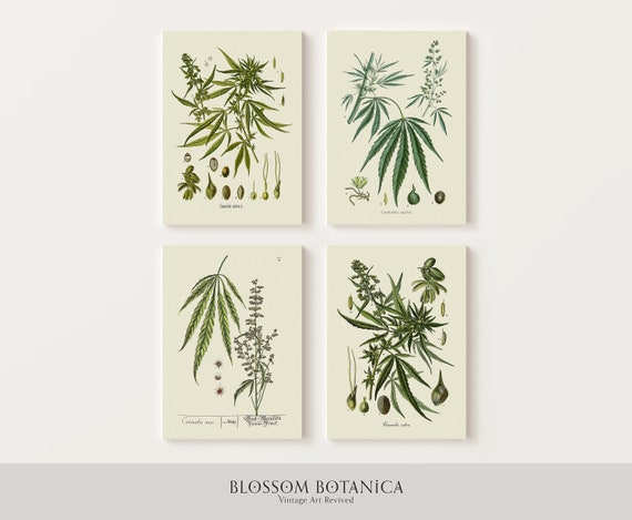 PRINTABLE Cannabis Art Digital Download Cannabis Gallery - Etsy