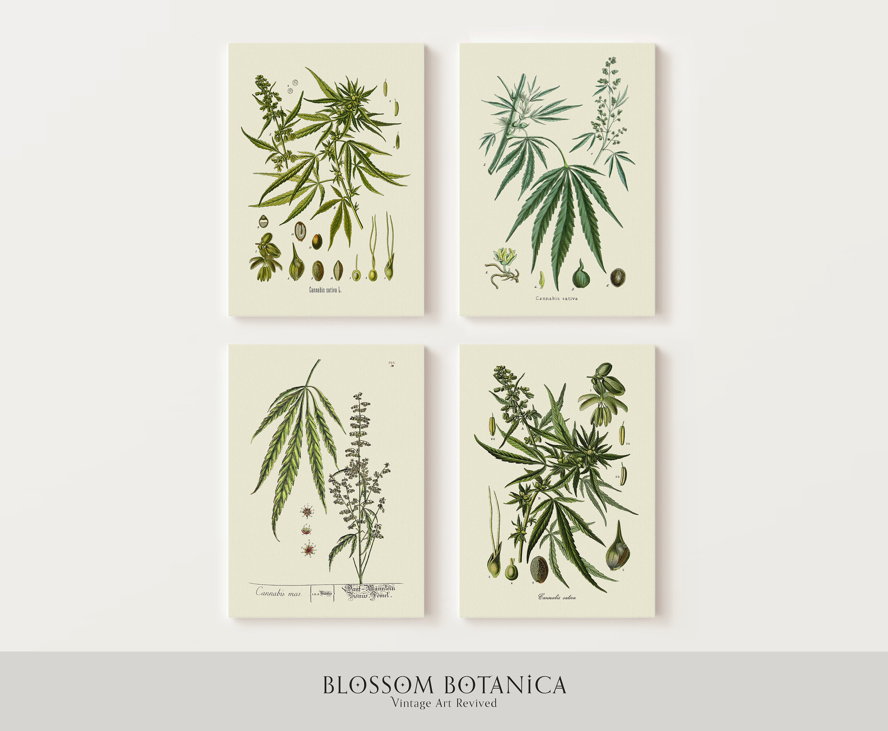 PRINTABLE Cannabis Art Digital Download Cannabis Gallery - Etsy