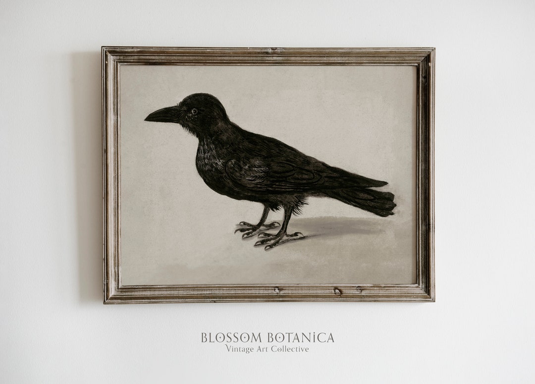 Edgar Allen Poe Raven, Raven Art Print, Gothic Art, Dark Academia, Dark ...