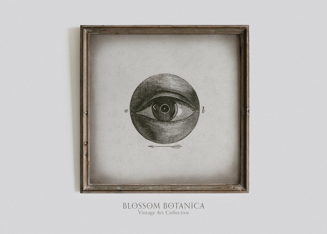 Vintage Eye Print, Antique Curiosities, Bizarre Objects, Trippy Art ...