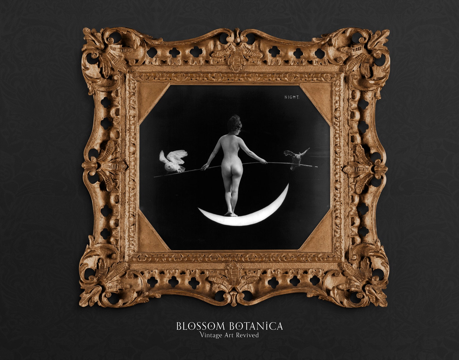 Gothic Art Nude Woman On Crescent Moon White Doves Halloween Art