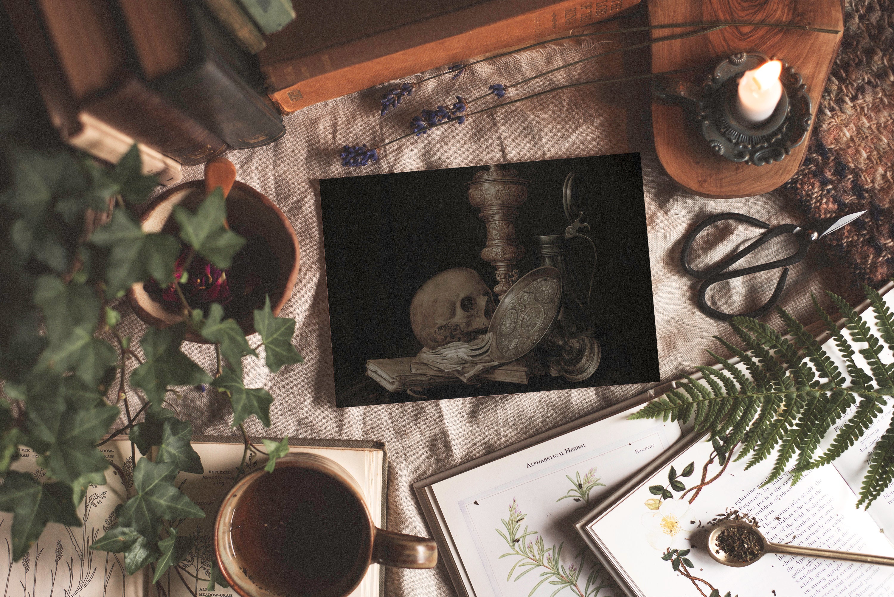 Vintage Skull Still Life, Gothic Art Print, Dark Victorian Aesthetic ...