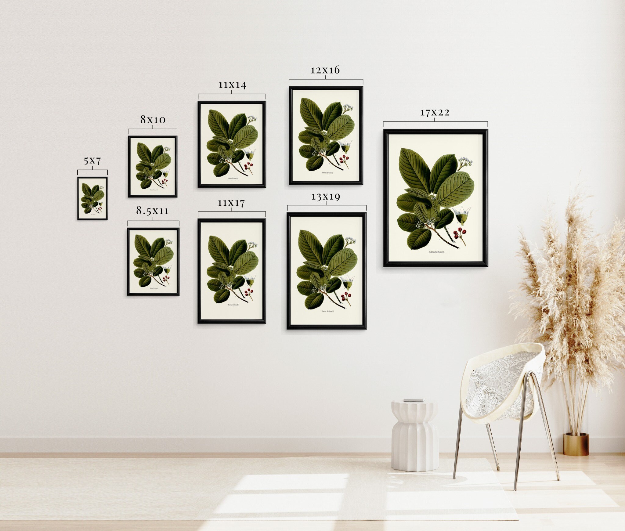 Museum Quality Art Prints Set of Two White Botanical Prints | Etsy