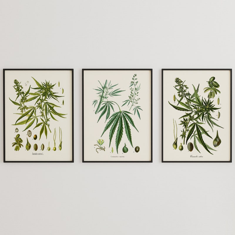Marijuana Wall Art - Etsy
