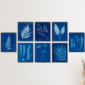 Cyanotype Botanical Prints, Vintage Botanical Art Prints, Antique ...