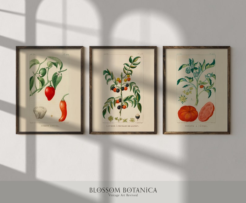 Vintage Botanical Print Set, Jean-théodore Descourtilz Illustrations ...