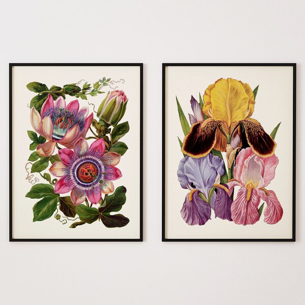 Large Botanical Prints - Etsy