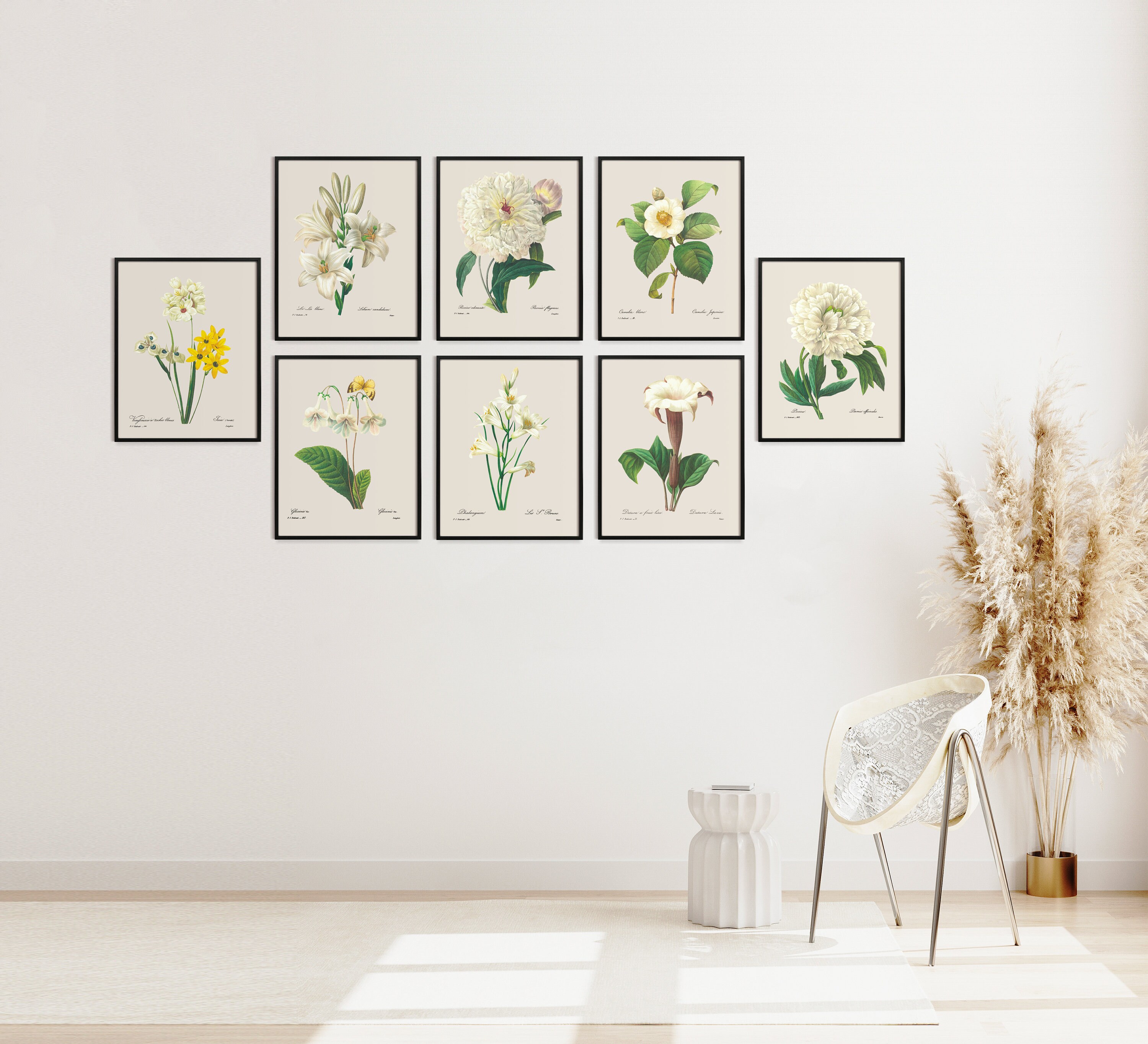 Set of 8 Ivory Botanical Print Collection Eight White Redouté | Etsy