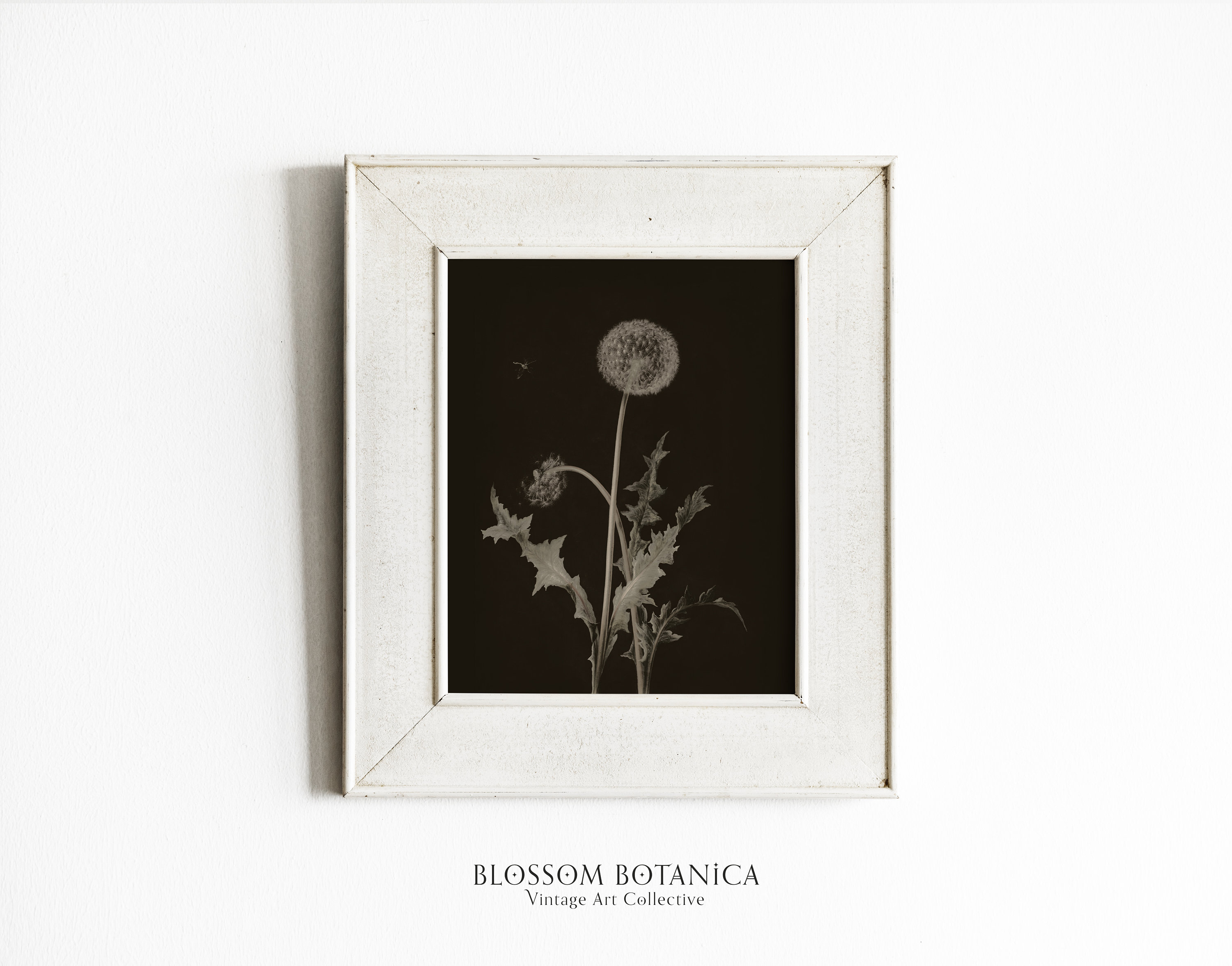 Dark Dandelion Art Print Moody Art Dark Botanical Dark - Etsy