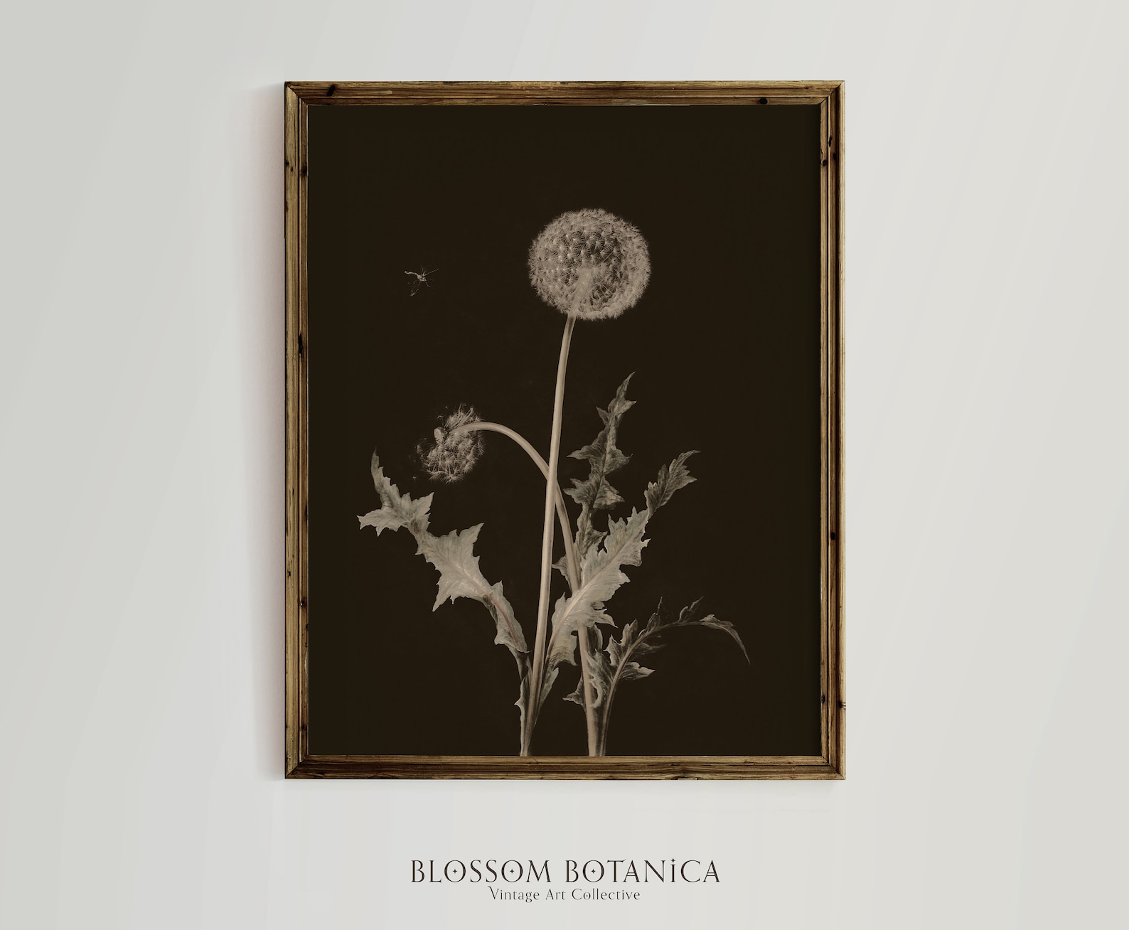 Dark Dandelion Art Print, Moody Art, Dark Botanical, Dark French ...