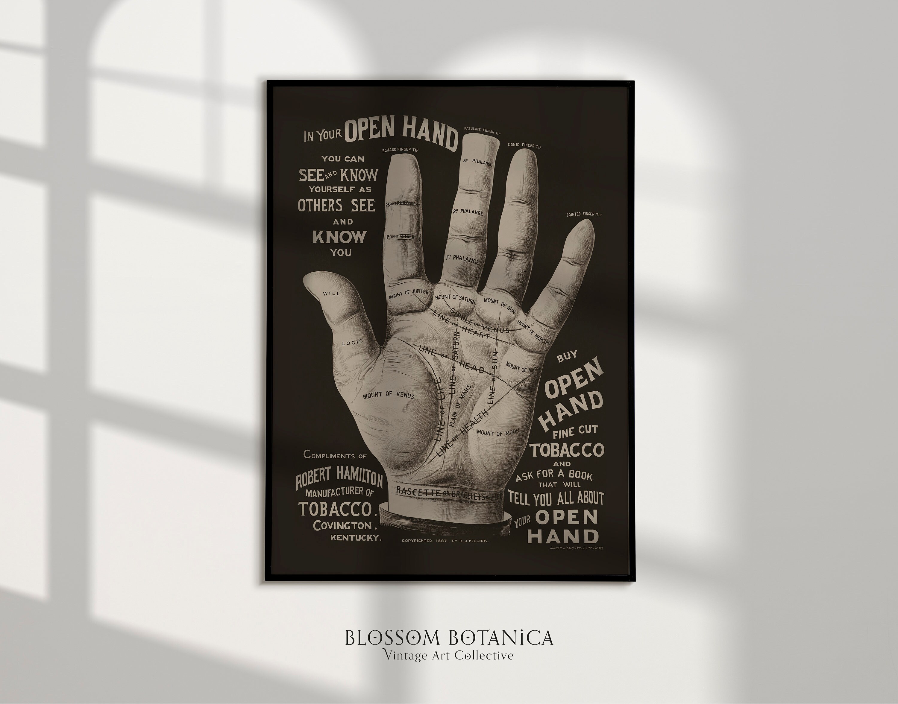 Vintage Palm Reading Poster Astrology Art Spiritual Art - Etsy