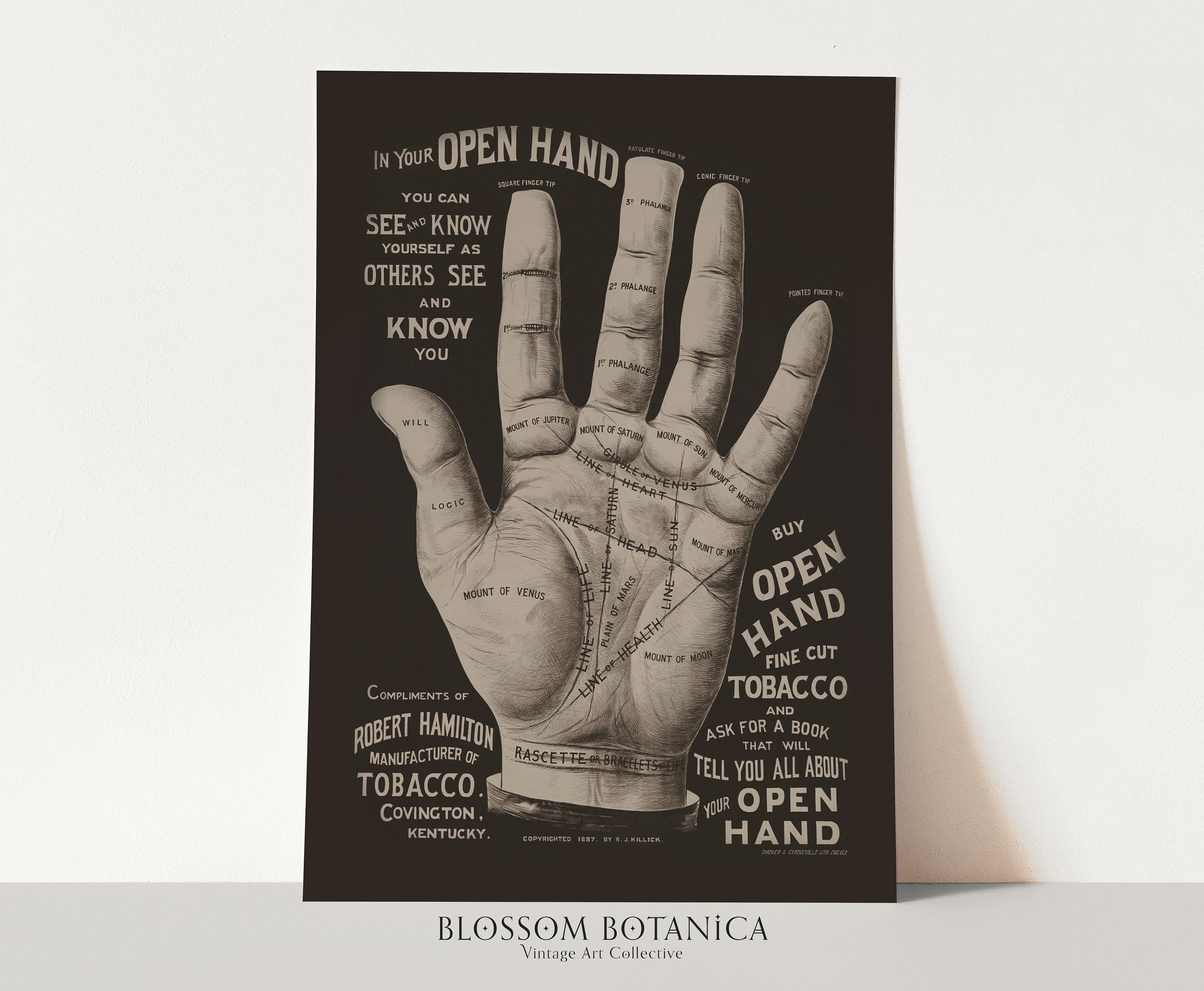 Vintage Palm Reading Poster Astrology Art Spiritual Art - Etsy