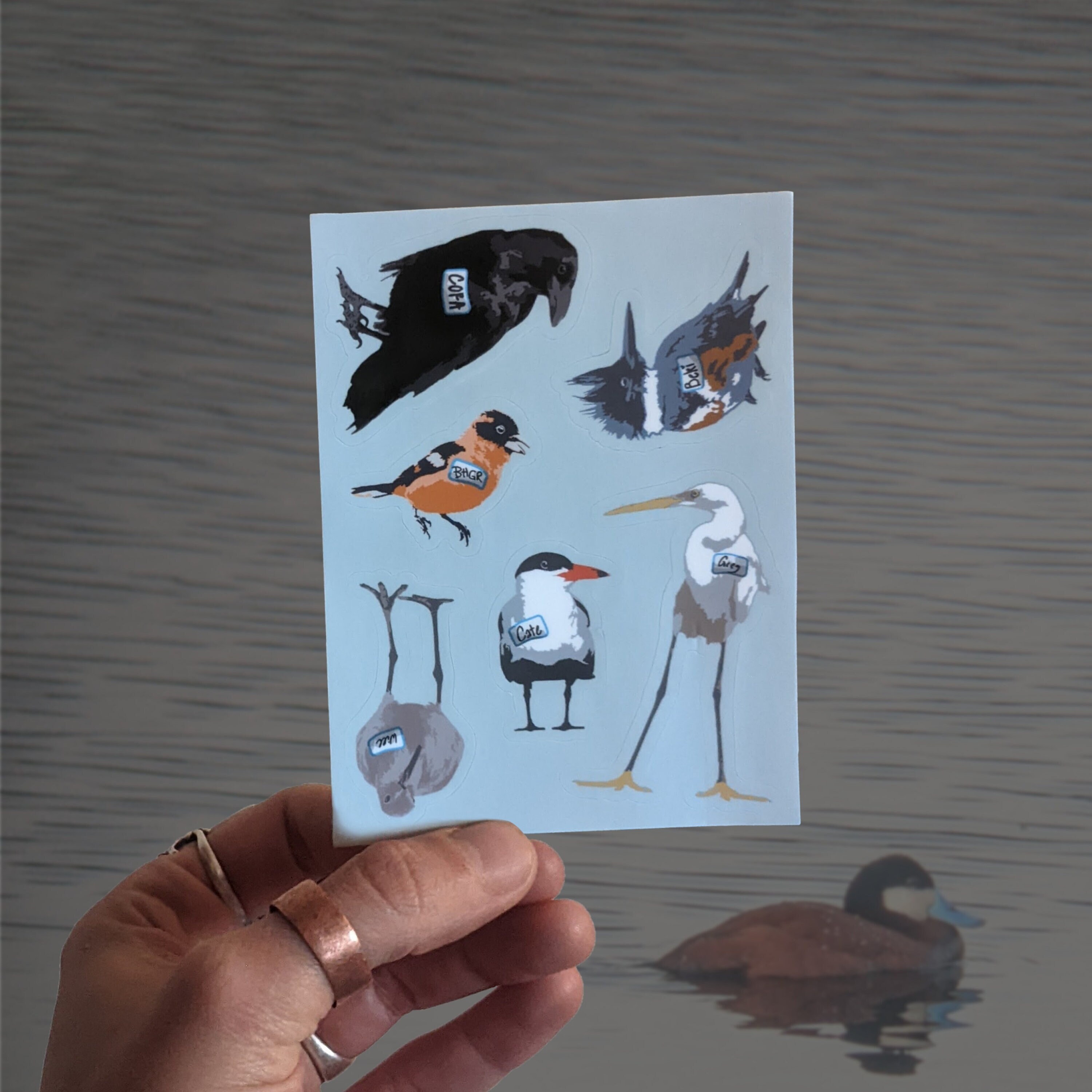 California Birds and Field Codes Matte Vinyl Sticker Page - Etsy