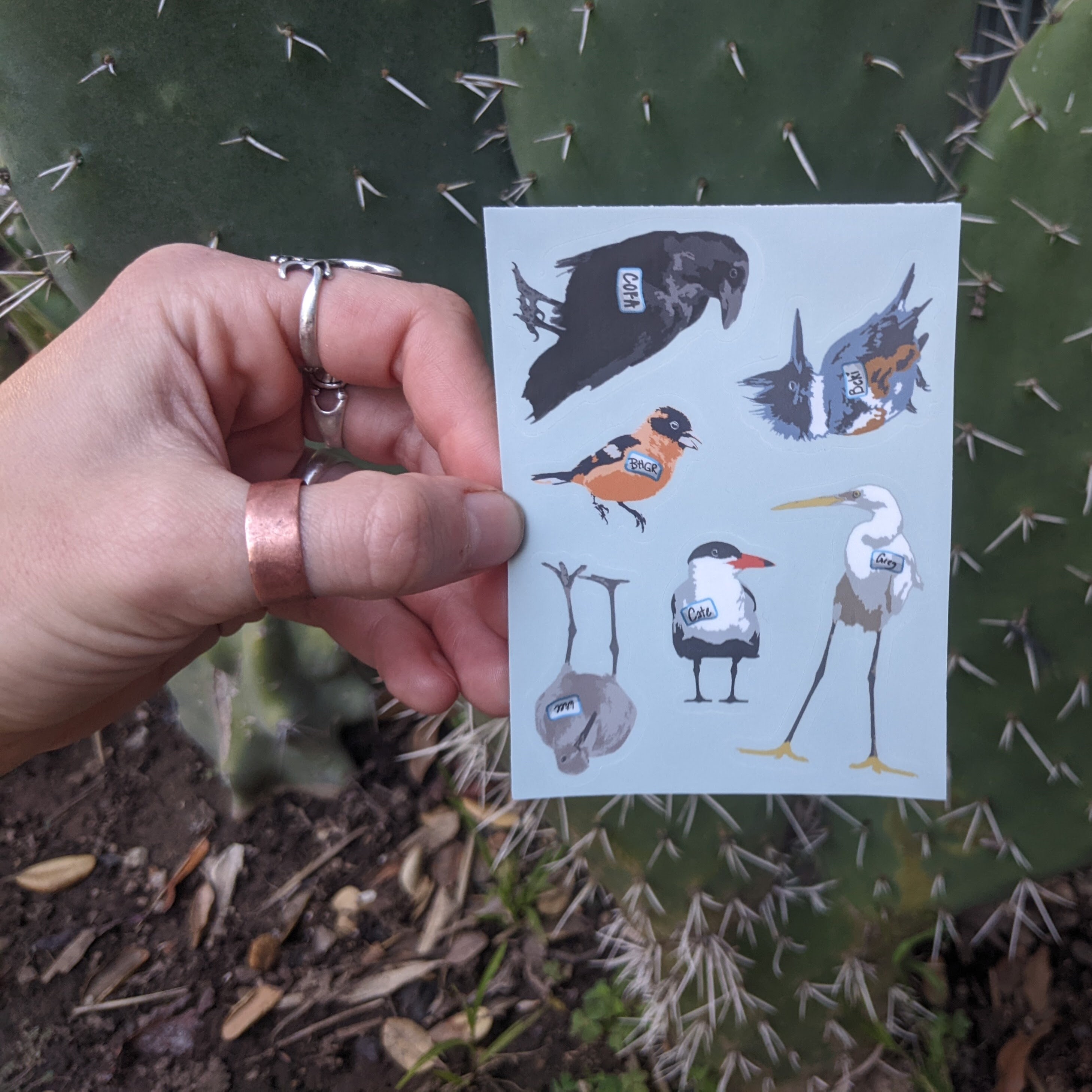 California Birds and Field Codes Matte Vinyl Sticker Page - Etsy