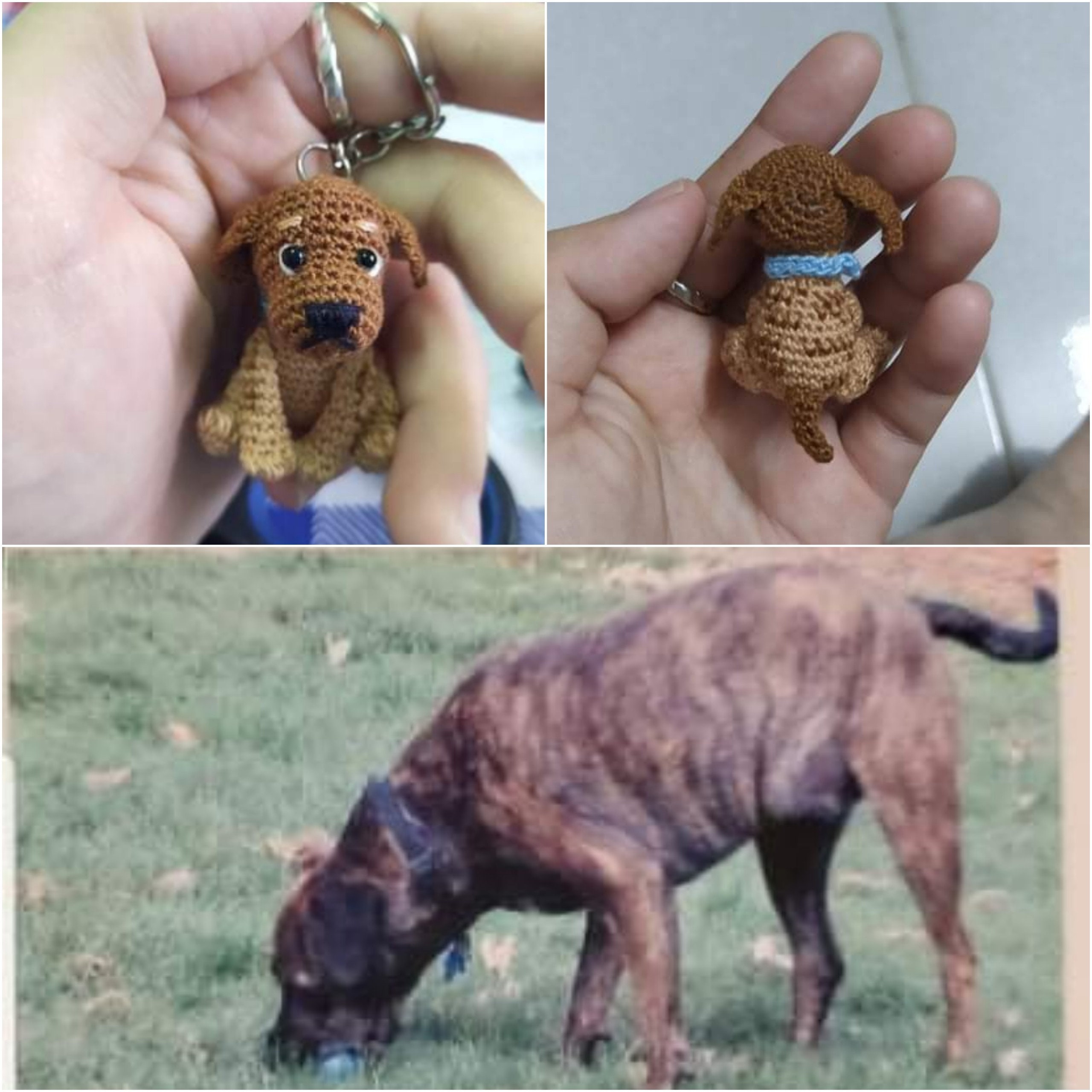 Custom Crochet Pet Keychain, Handmade Dog Keychain, Mini Pet Keychain ...