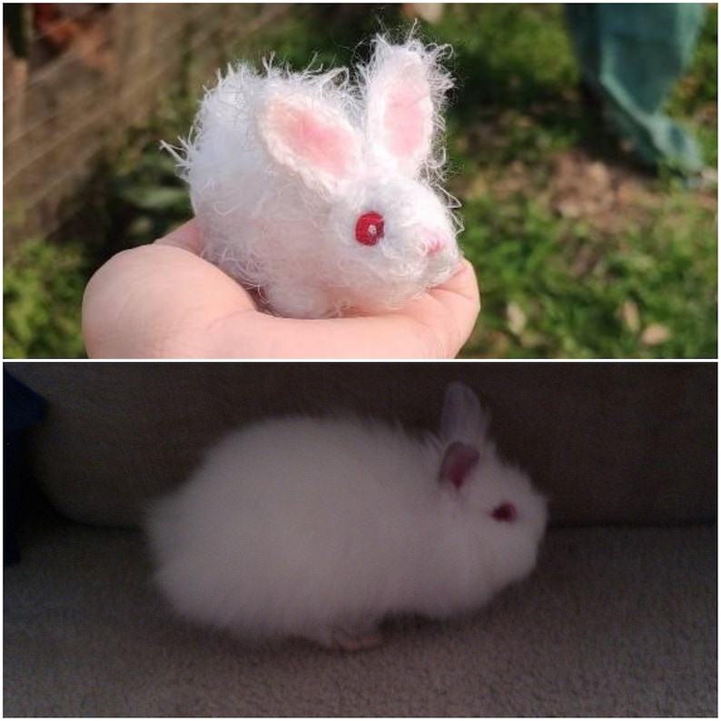 Custom Stuffed Animal Custom Pet Plush Personalized Pet | Etsy