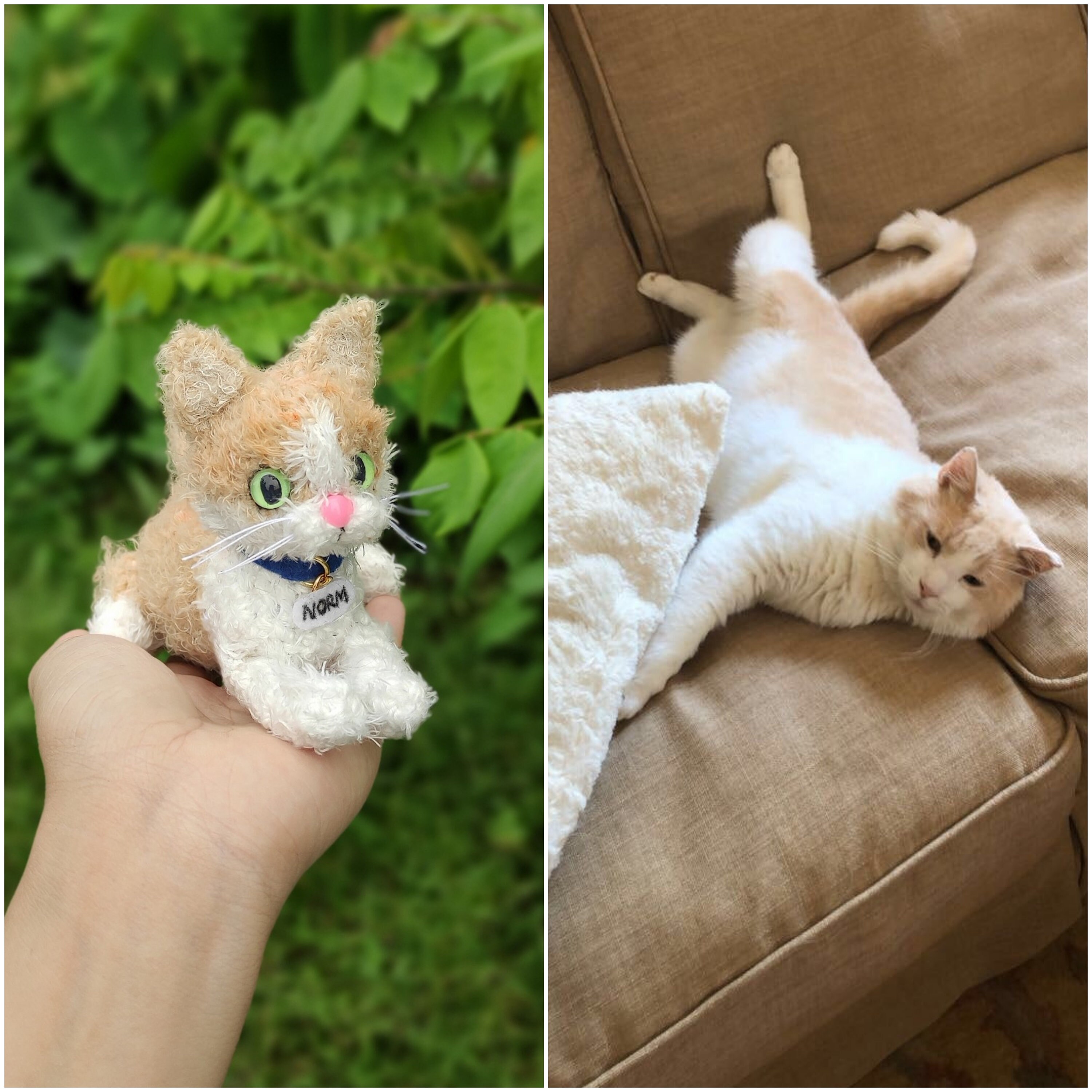 Custom Cat Plush Custom Crochet Cat Custom Stuffed Cat - Etsy Canada