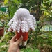 Crochet Vivaldi, Vivaldi Doll, Vivaldi Plush, Stuffed Vivaldi ...