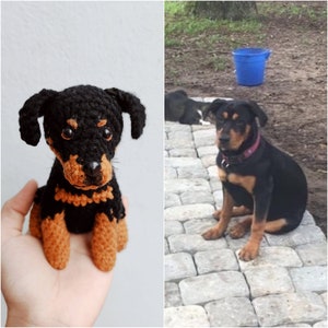 Custom Stuffed Dog, Custom Stuffed Animal, Custom Dog Plush, Custom Pet ...