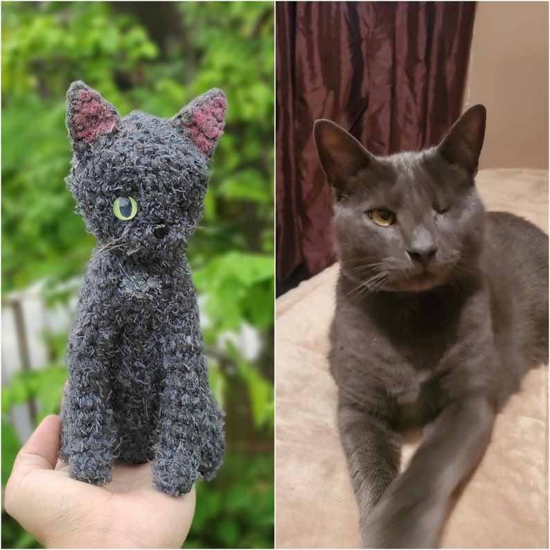 Custom Cat Plush Custom Crochet Cat Custom Stuffed Cat - Etsy