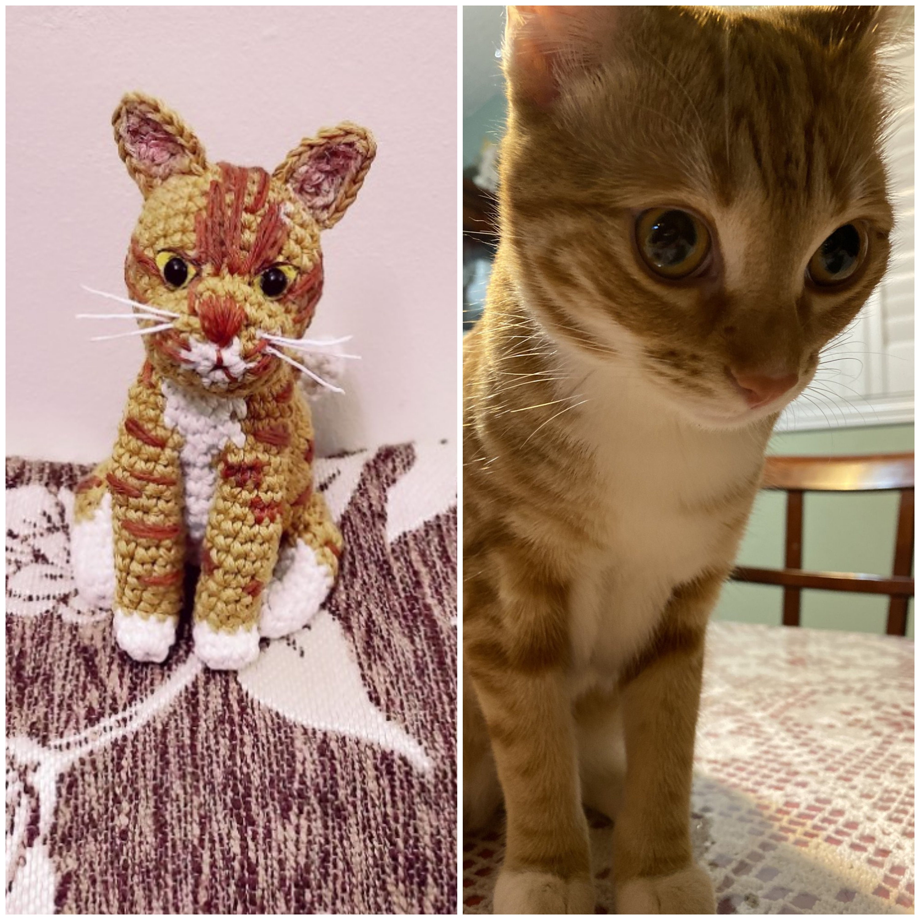 Custom Crochet Cat Amigurumi Custom Pets Crochet Pet | Etsy