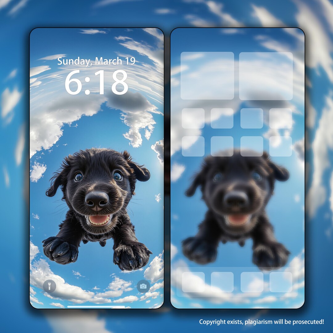 Custom Dog Wallpaper A Teddy Puppy Landed, Custom Pet Wallpaper for ...