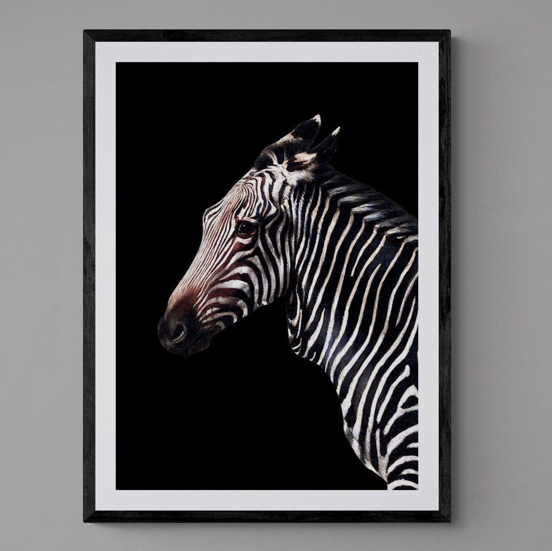 Zebra Portrait Animal Illustration Art Print - Etsy