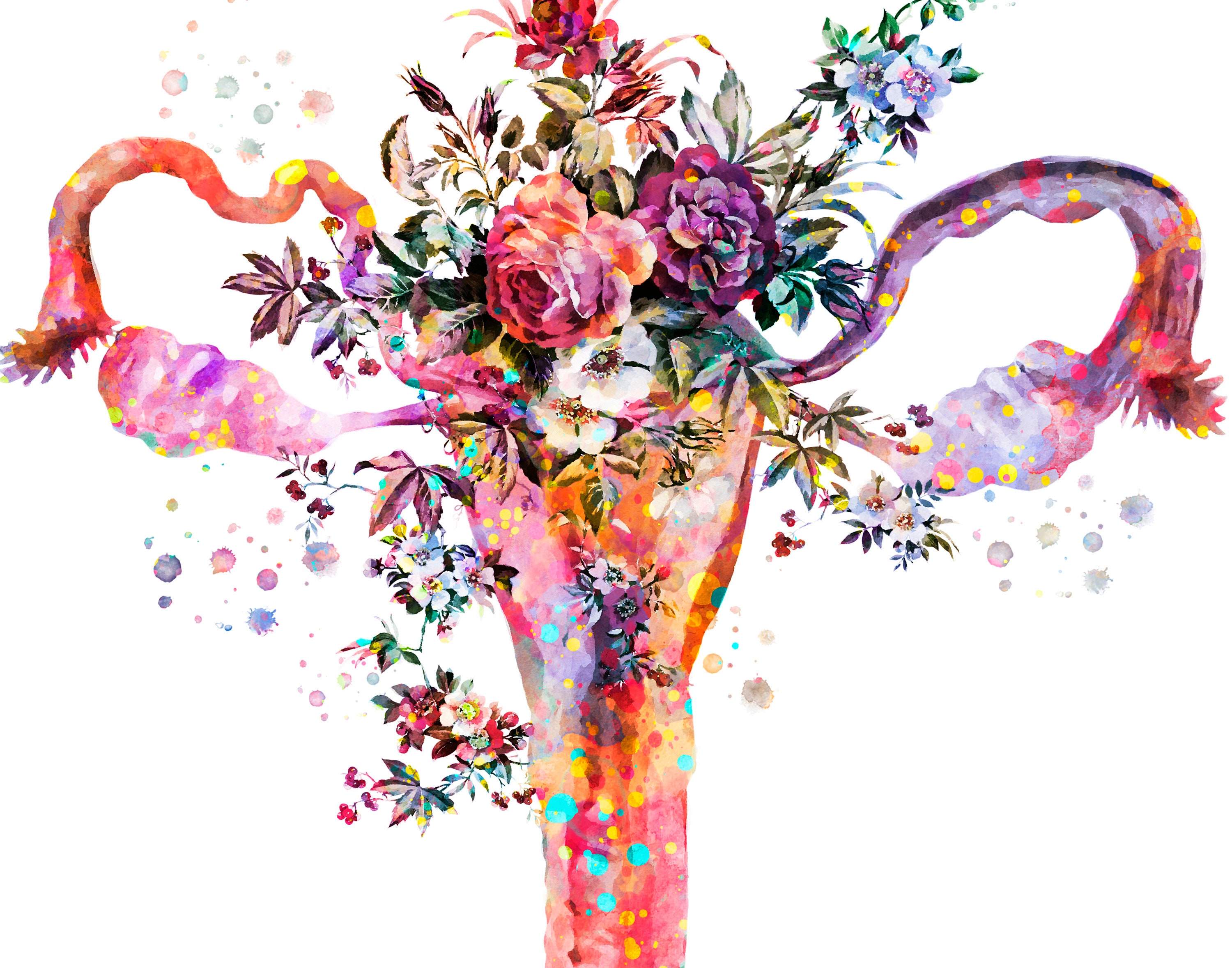 Floral Human Reproductive System Print Genital System Art | Etsy