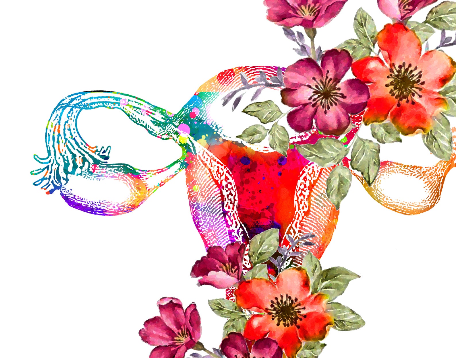 Uterus and Red Flowers Clip Art Anatomy Clipart Female | Etsy