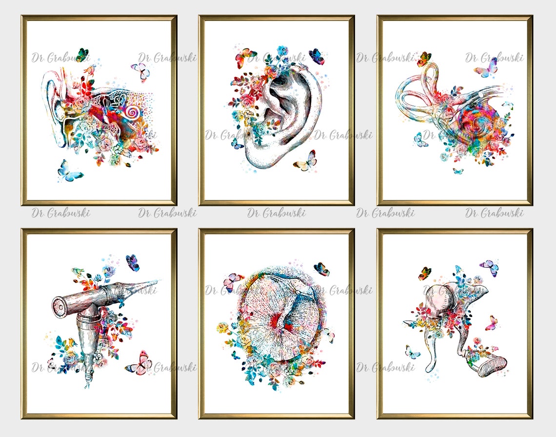 Audiology Art Otolaryngologist Gift Hearing Poster Human | Etsy