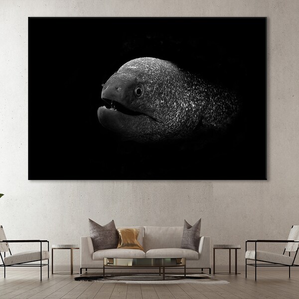 Moray Eel - Etsy