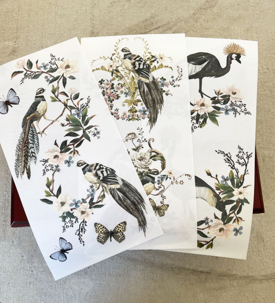 RARE BIRDS Redesign Décor Transfer - Etsy