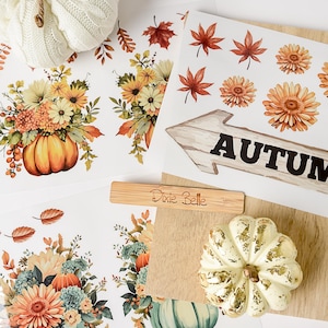 HEY PUNKIN MID Belles and Whistles Transfer - Etsy