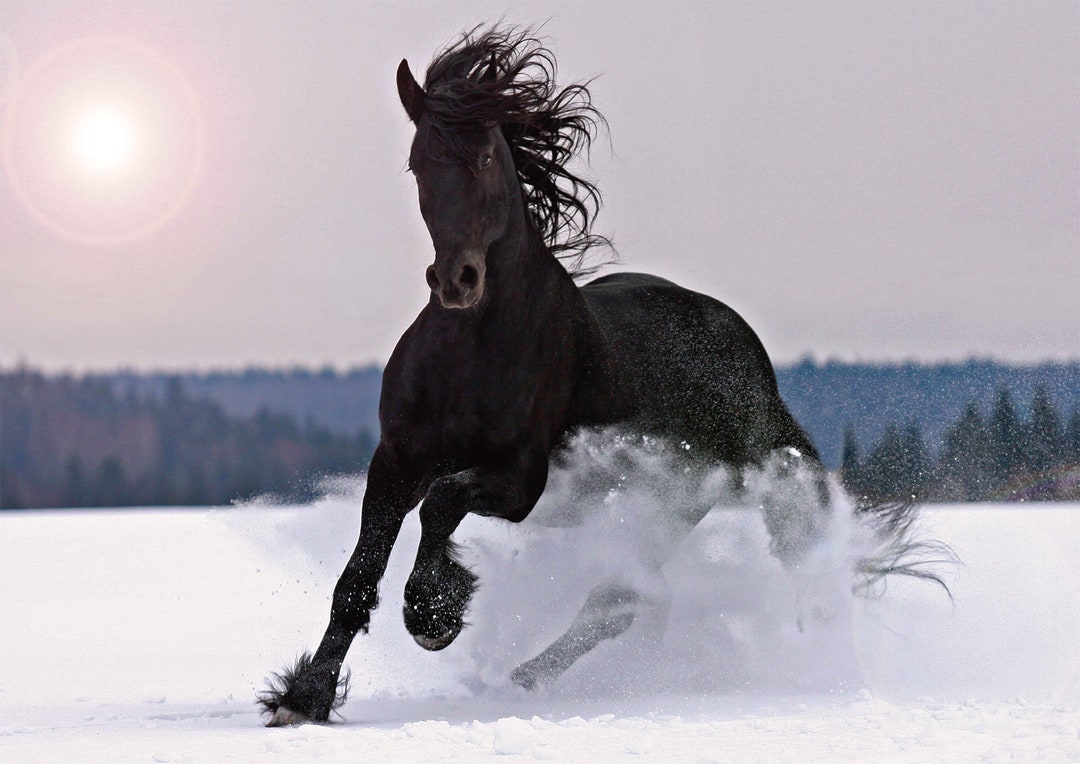 WINTER GALLOP A1 Rice Decoupage Paper by Belles and Whistles - Etsy