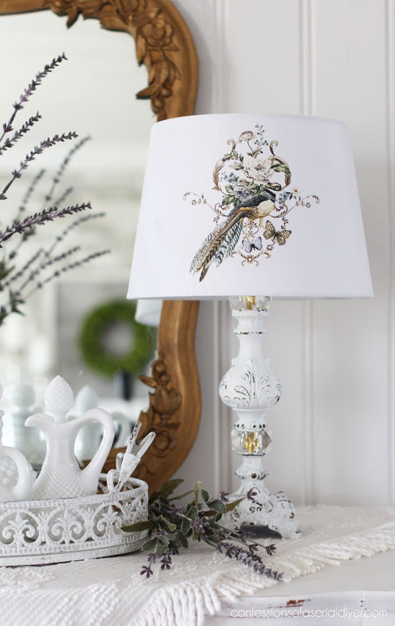 RARE BIRDS Redesign Décor Transfer - Etsy