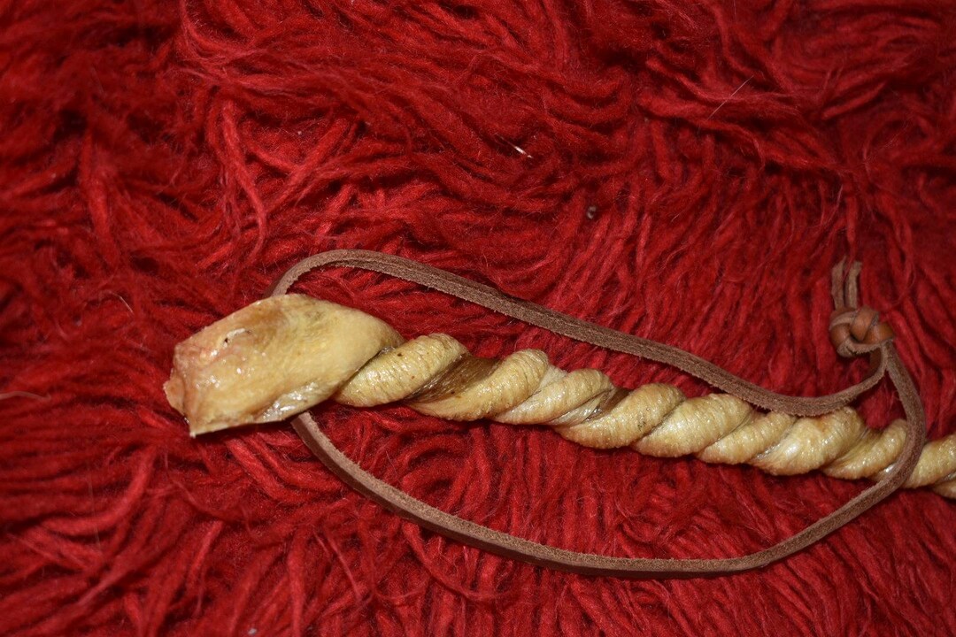 Pizzle Whip Authentic Bull Pnis Leather Whip Kinky Mature - Etsy