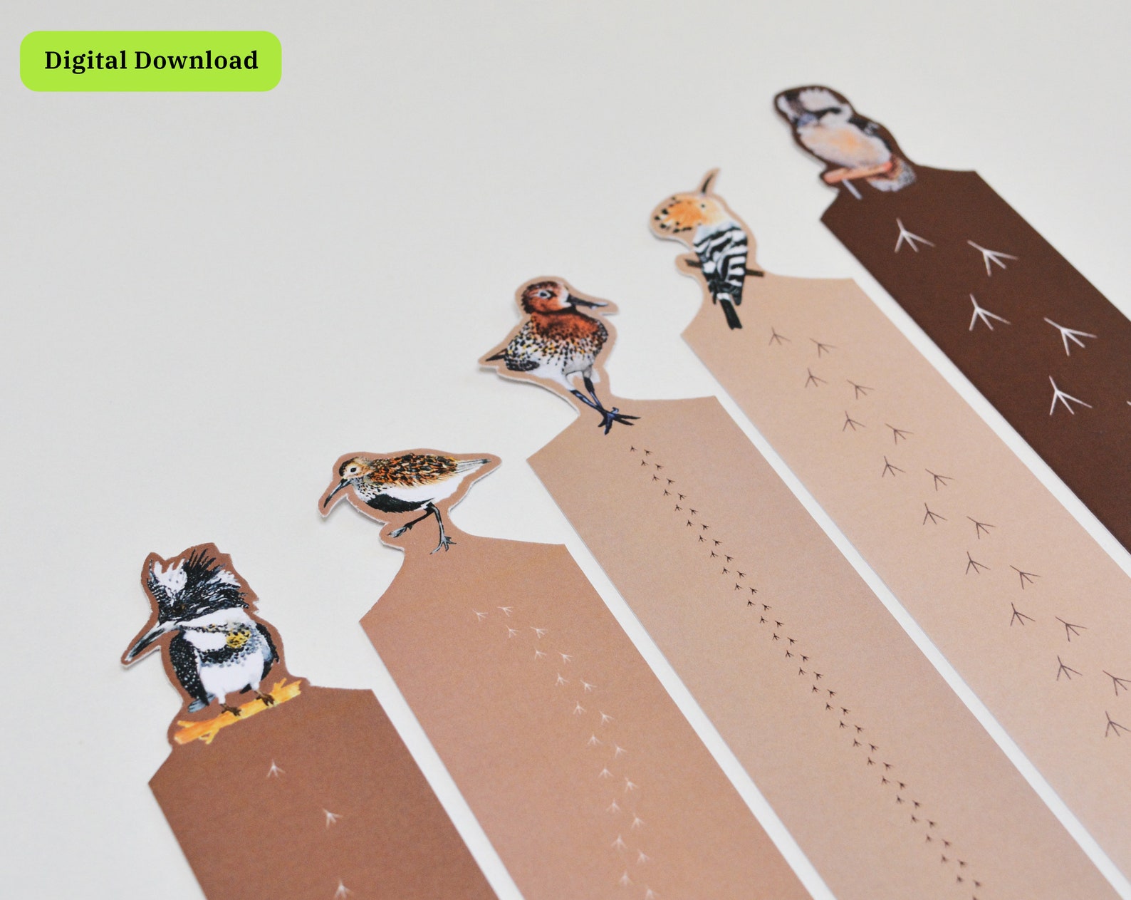 Set of 5 printable bookmarks with birds Digital Download | Etsy