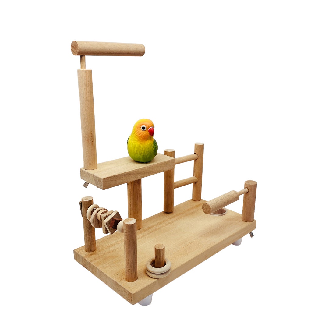 Playground for Small Parrots w900《my PET BIRD 》 - Etsy