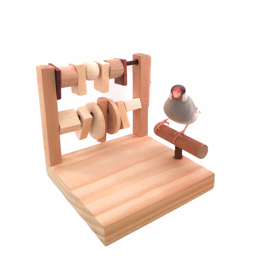 Bird GYM for Parakeet W927 - Etsy