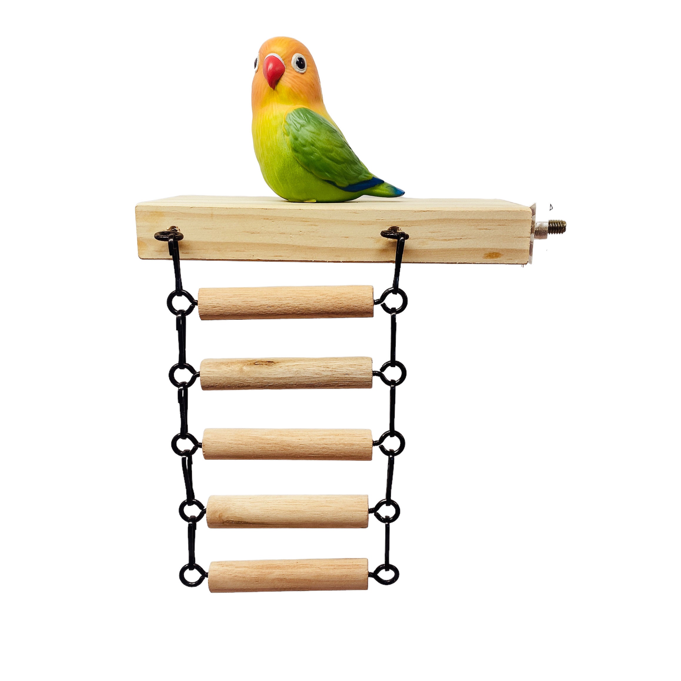 Parrot Perch and Ladder Combination Set W735MY PET BIRD 我的寵物鳥 - Etsy