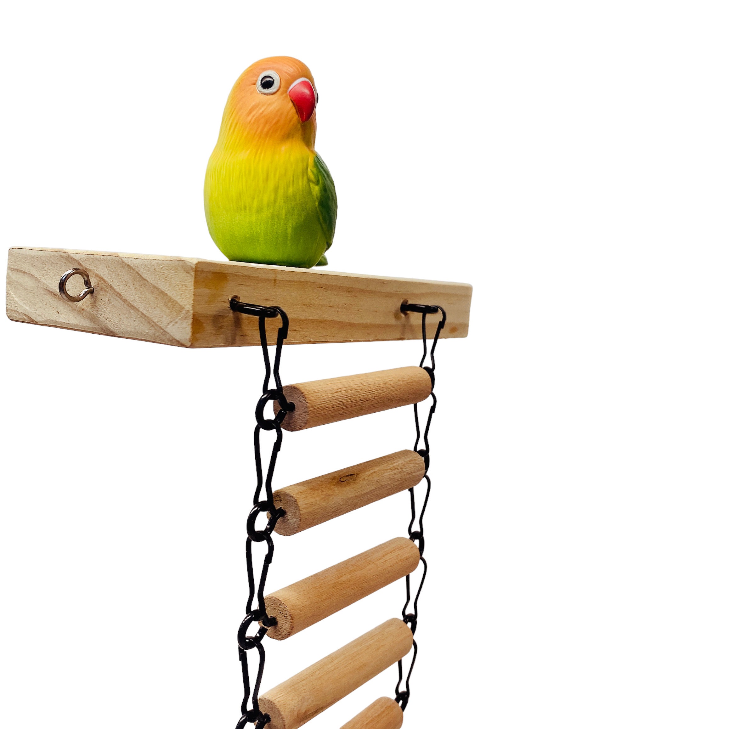 Parrot Perch and Ladder Combination Set W735MY PET BIRD 我的寵物鳥 - Etsy