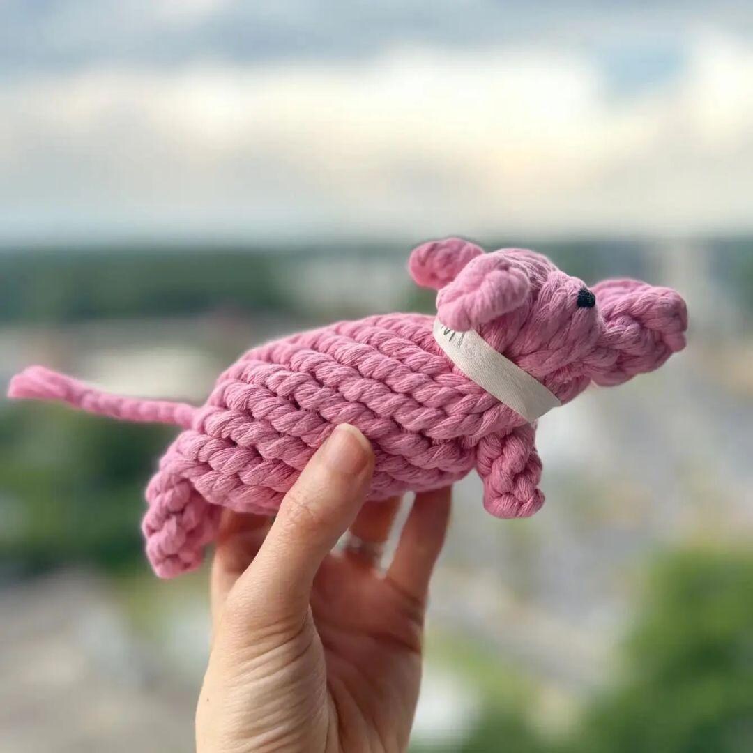 Piggy Pink Rope Dog Toy, Toys for Small and Meddle Dogs, Eco-friendly ...