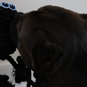 Black Spider Dog Rope Toy, Handmade Sustainable Dog Rope Toys, Toys for ...