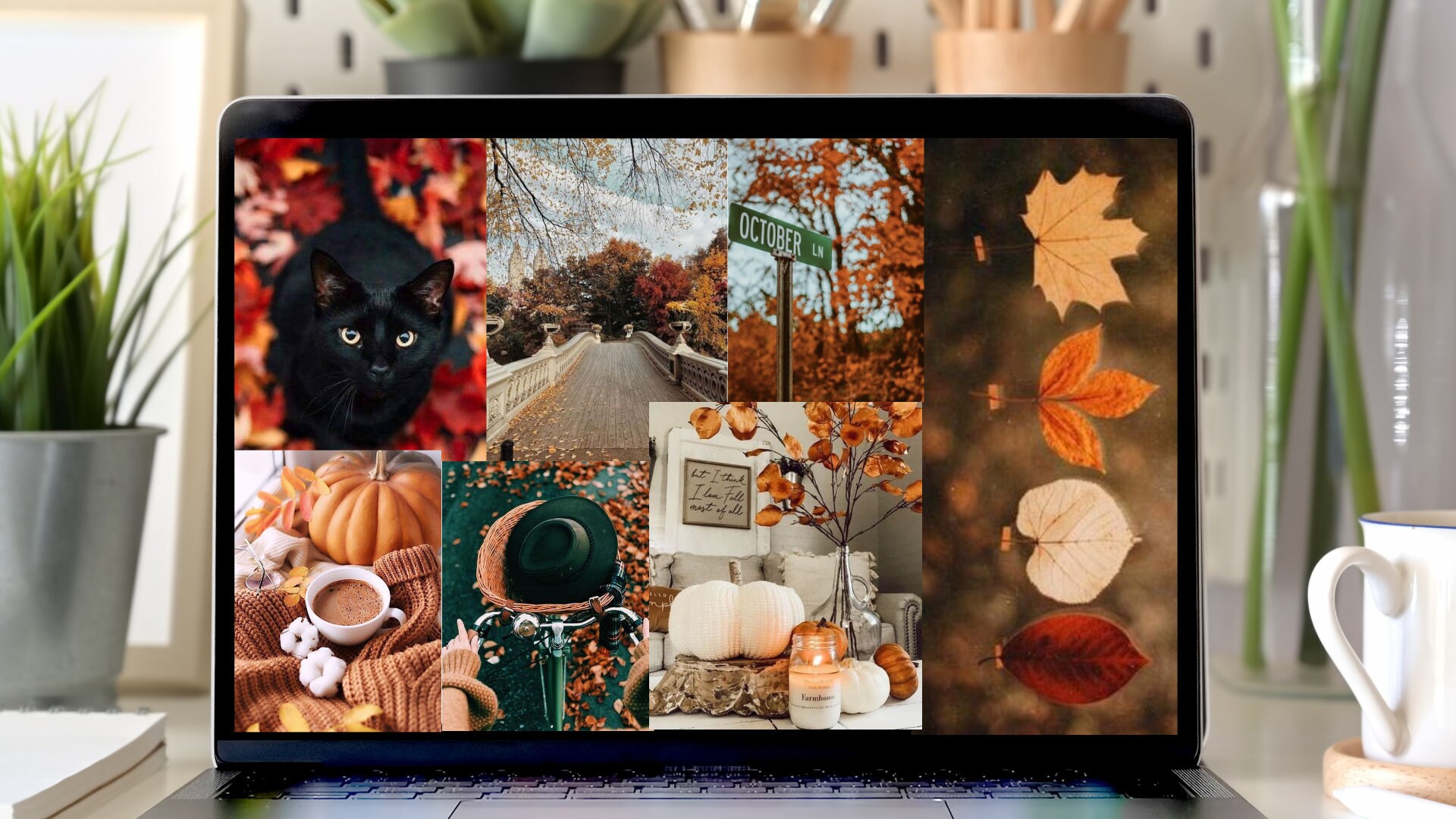 Black Cat Fall Desktop Wallpaper L Instant Download - Etsy